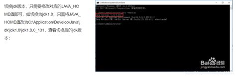 使用新版burp时出现a Jni Error Has Occurred Please Check Your Installation And