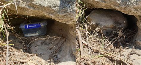Where Have All The Traditional Regular Caches Gone General