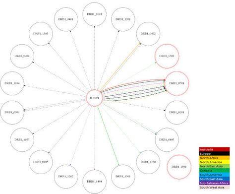 Haplotype Combinations Between HLA B 57 01 And HLA DRB1 Alleles All Download Scientific