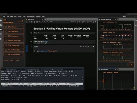 Free Video Addressing Memory Overflow Issues With Large Datasets From Nvidia Class Central