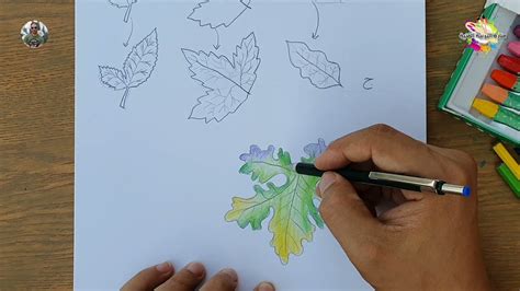رسم أوراق الشجر الصف الرابع الابتدائي Youtube