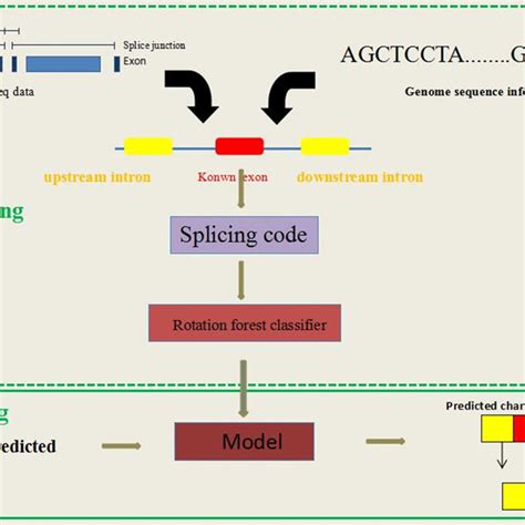 the framework of rotation forest classifier to predict es events with download scientific