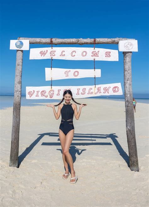 필리핀 보홀 호핑투어 준비물 돌고래 거북이 스노쿨링 자유여행 ️ 고프로 무료대여 네이버 블로그