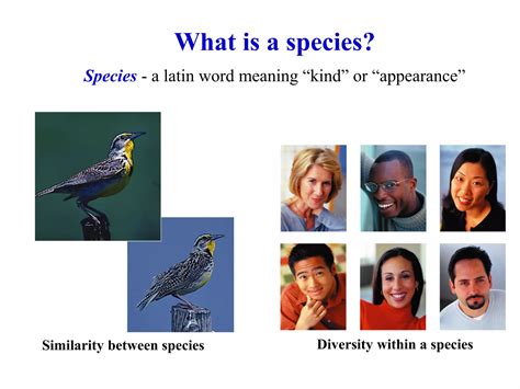 Species And Speciation PPT