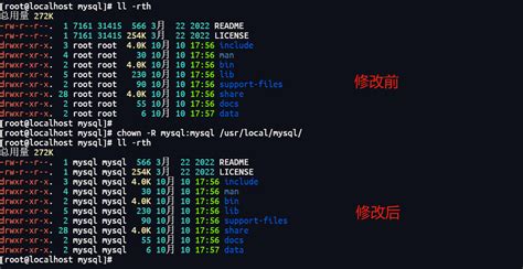【mysql系列文章】linux环境下安装部署mysqllinux 部署mysql Csdn博客