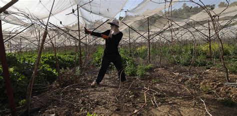 Plight Of Migrant Laborers Killed Held Hostage In Middle East Exposes