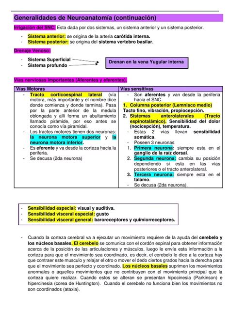 Sumario Generalidades De Neuroanatomía Neuroanatomía Stuvia Us