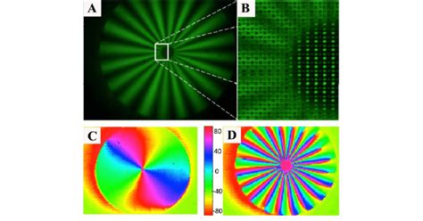 Measurement Of The Radially Polarized Light And The High Order