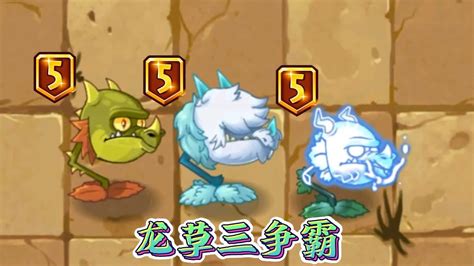 植物大战僵尸：1 5阶战斗力测试，龙草三争霸，你更看好谁？ Youtube