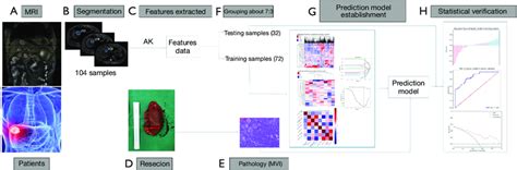 The Flowchart Of The Study A Data Of Patients With HCC Who Met The Download Scientific