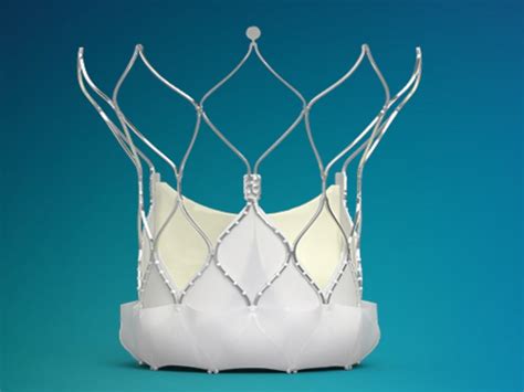 Navitor Transcatheter Aortic Valve Implantation Tavi System Us