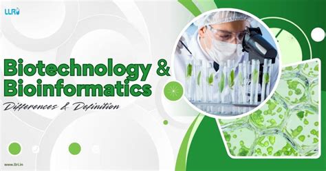 What Is The Difference Between Biotechnology And Bioinformatics 5 Must