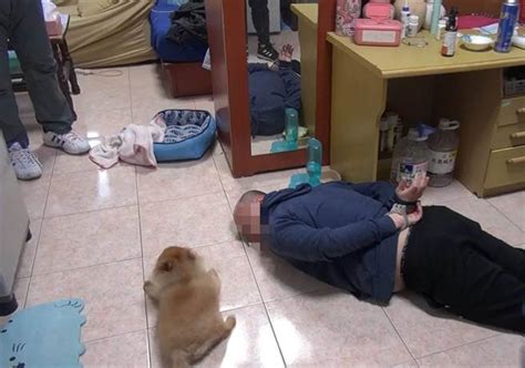 警抓毒梟喊趴下 通緝犯狗兒子竟做這動作 社會 中時