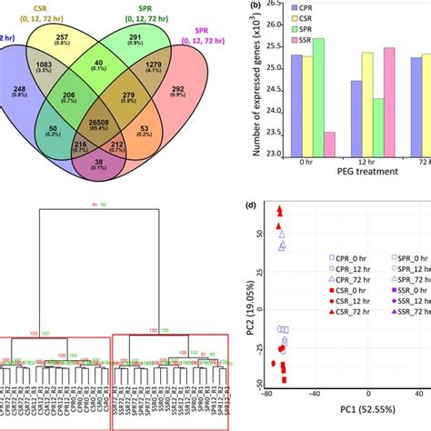 Global Gene Expression Profiles And Sample Relationships Identified By