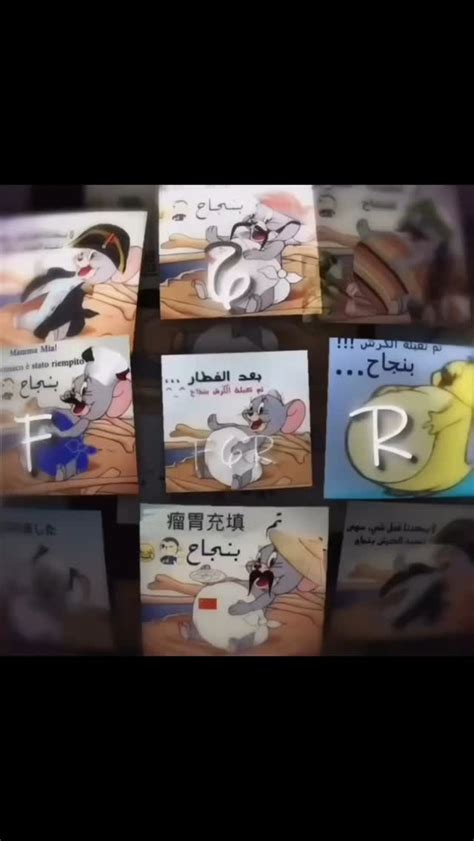 ‎كايجو ميمز‎ ‎العرب ياخي 😂😂😂😂😂😂😂 ميمز العراق‎ Instagram