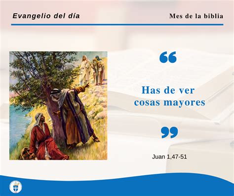 E Conferencia Del Episcopado Dominicano Página Oficial