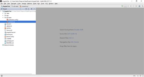 Nodejs How To Run And Test Angularjs Project In Intellijidea