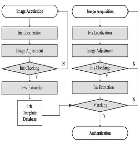 Simplified Block Diagram Of Download Scientific Diagram
