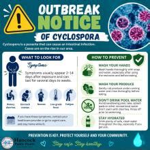Outbreak Notice For Cyclospora Bluffton Icon