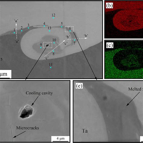 Sem Ebsd Ipf Orientation Map A And Corresponding Grain Size Download Scientific Diagram