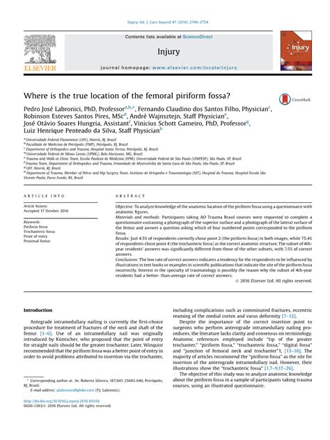 Where Is The True Location Of The Femoral Piriform Fossa Docslib