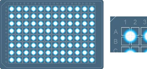 Lumidox® Ii Led Arrays Analytical Sales And Services Inc