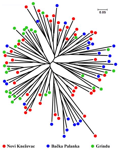 Nj Individuals Tree Based On Das Estimated From 10 Microsatellite Dna