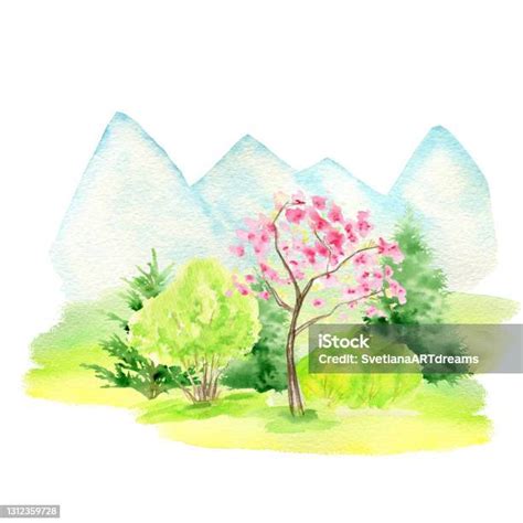 水彩春景山川丘陵和櫻花粉紅花樹綠色自然森林景觀風景插圖孤立在白色背景上向量圖形及更多地勢景觀圖片 地勢景觀 水彩畫 風景 大自然