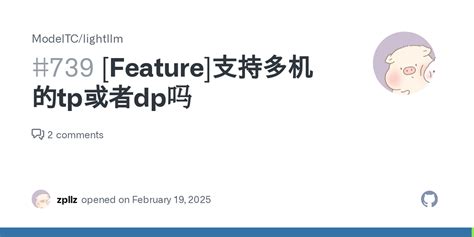 [feature]支持多机的tp或者dp吗 · Issue 739 · Modeltc Lightllm · Github