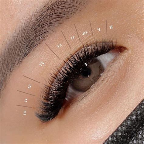 Almond Eye Lash Map Almond Eyes Lashes Lashes Fake Eyelashes