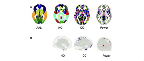 Parcellation Schemes Used In This Analysis A Automated Anatomical