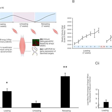 A Infinium Methylationepic Beadchip Arrays 850 K Cpg Sites