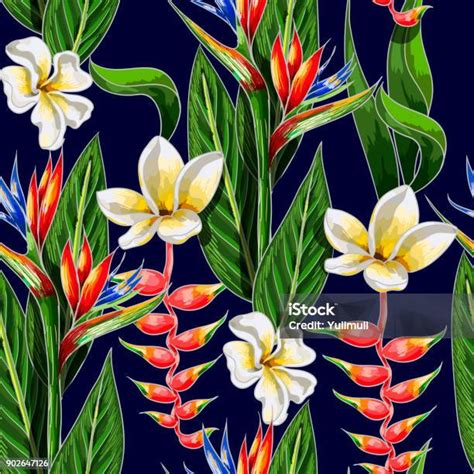 Pola Mulus Dengan Bunga Tropis Ilustrasi Strelicia Plumeria Dan Daun