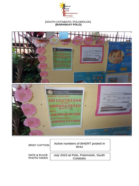 Sglgb Template Photo Documentation Format 1 Pdf