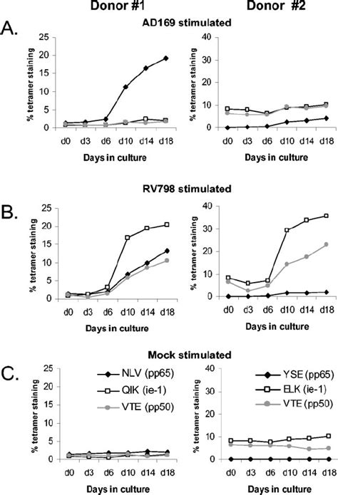Tetramer Guided Monitoring Of T Cell Expansion Using Recombinant