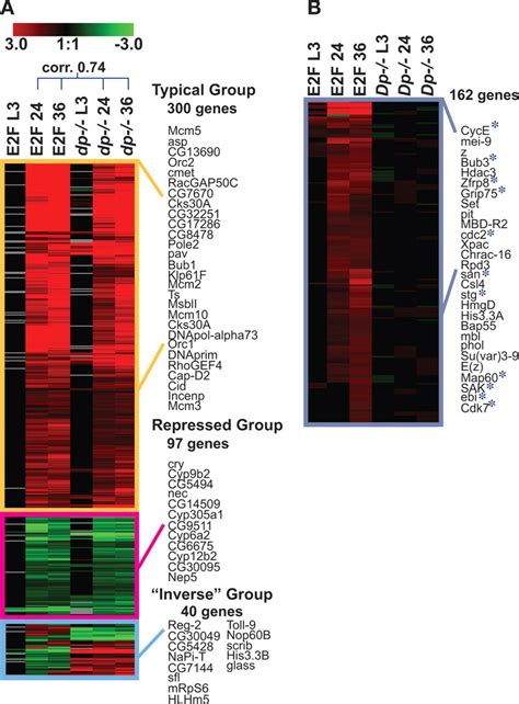 E2f Transcriptional Activation And Dp Loss Are Highly Similar Except Download Scientific