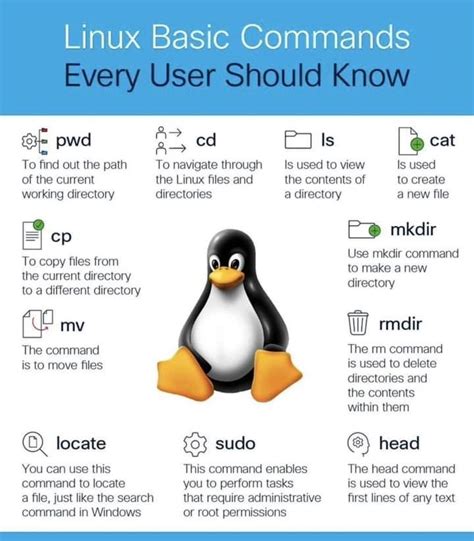 Syed Qasim Riaz On Linkedin Linux Linuxfoundation Kalilinux Redhat