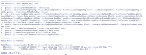 菁英计划反向传播backword出现段错误 Issue 36785 PaddlePaddle Paddle GitHub