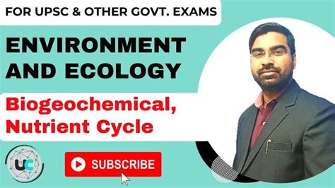 What Are Biogeochemical Cycles Nutrient Cycle In The Ecosystem