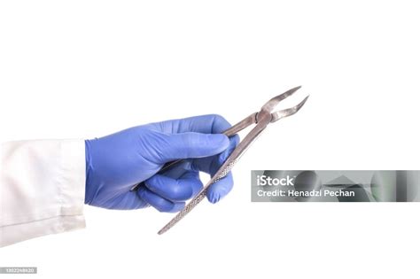 의사 치과 의사는 흰색 배경에 치아를 꺼내 격리하기 위해 손 집게를 들고 있습니다 치과 치아 추출 개념 강철에 대한 스톡 사진