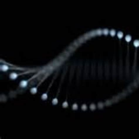 Exosome Quantification With Protein Analysis Researchgate