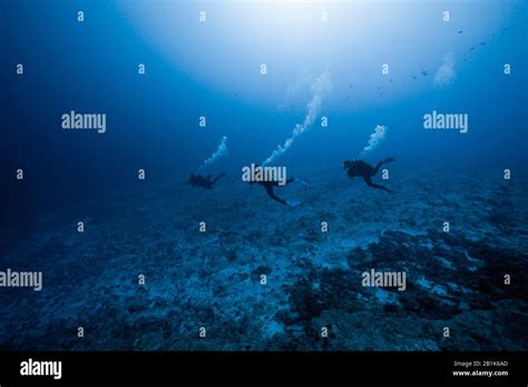 Scuba Diving At French Polynesia Apataki Atoll Tuamotu Archipel