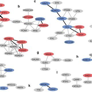 Cytoscape STRING Network Of Differentially Expressed Proteins Shows