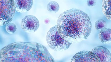 New Framework Reveals Insights Into Metabolism Technology Networks