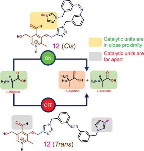 Photoresponsive Small Molecule Enzyme Mimics Acs Omega