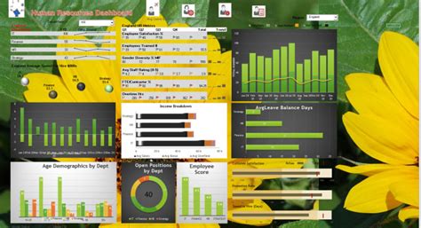 Create Professional Ms Excel Dashboard Pivot Tables Vlookup And