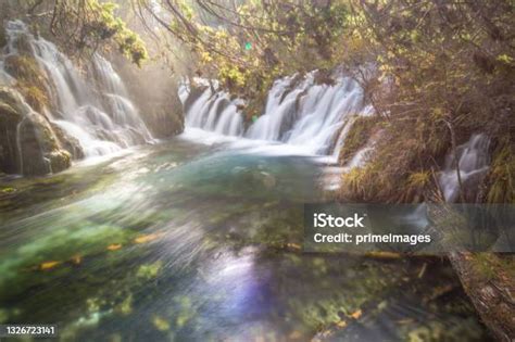 아름다운 자연 불꽃 여러 가지 빛깔의 호수 Jiuzhaigou 공원 국립 공원 여름 시즌 쓰촨 중국 0명에 대한 스톡 사진 및
