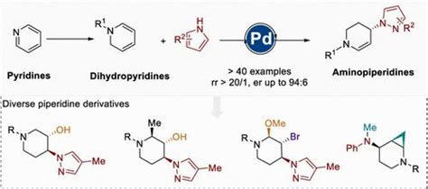 Modular Construction Of Chiral Aminopiperidine Via Palladium Catalyzed