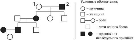 Задание №54537 По изображённой на рисунке родословной определите какова вероятность