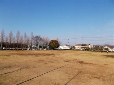 富士見公園 千葉県茂原市の公式サイトへようこそ！